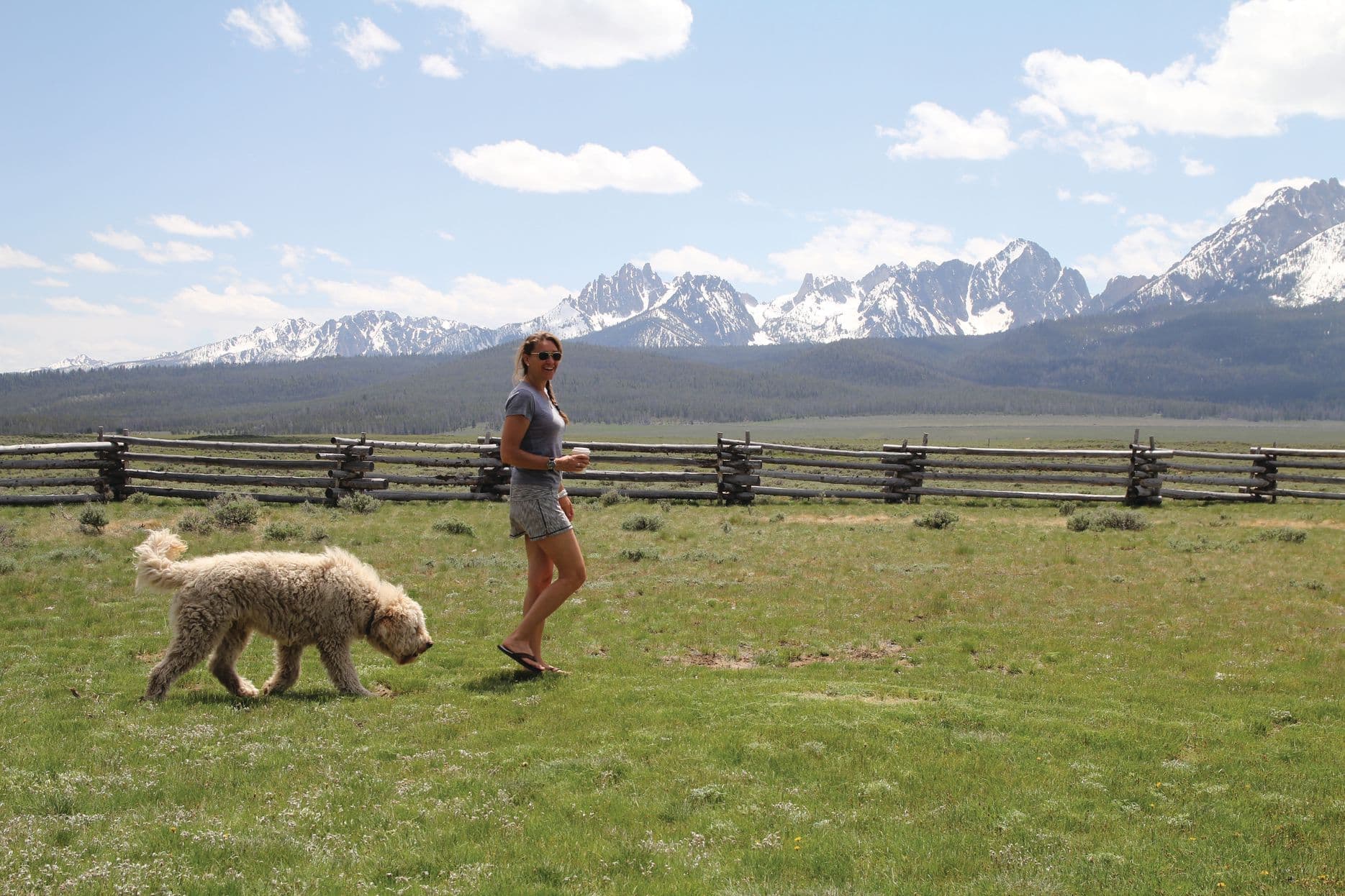 Kim Frank - Writer, Editor and Storyteller - Kim Frank